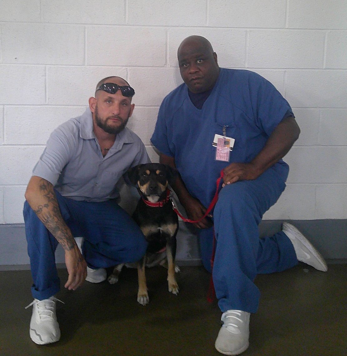 A New Leash on Life: How Incarcerated Individuals are Giving Shelter ...
